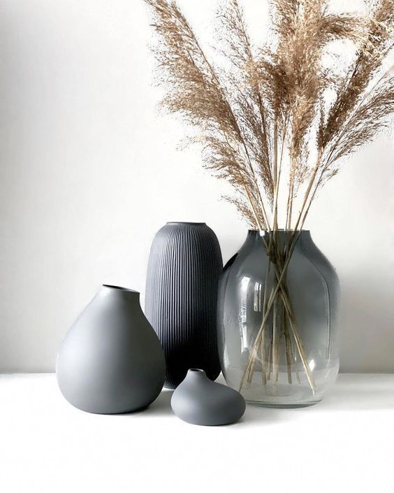 Everything about giant reed : How to Plant & care for them